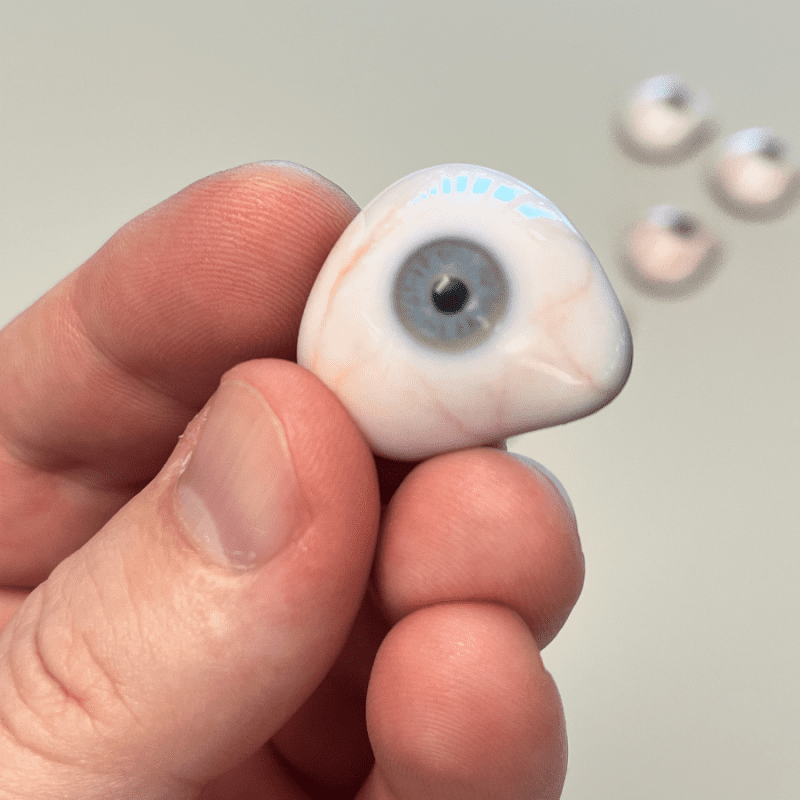 Student Project: Aid in the Development of 3D Printed eye prosthetic ...