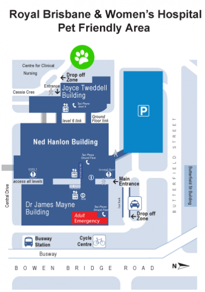 Your stay | Royal Brisbane and Women's Hospital